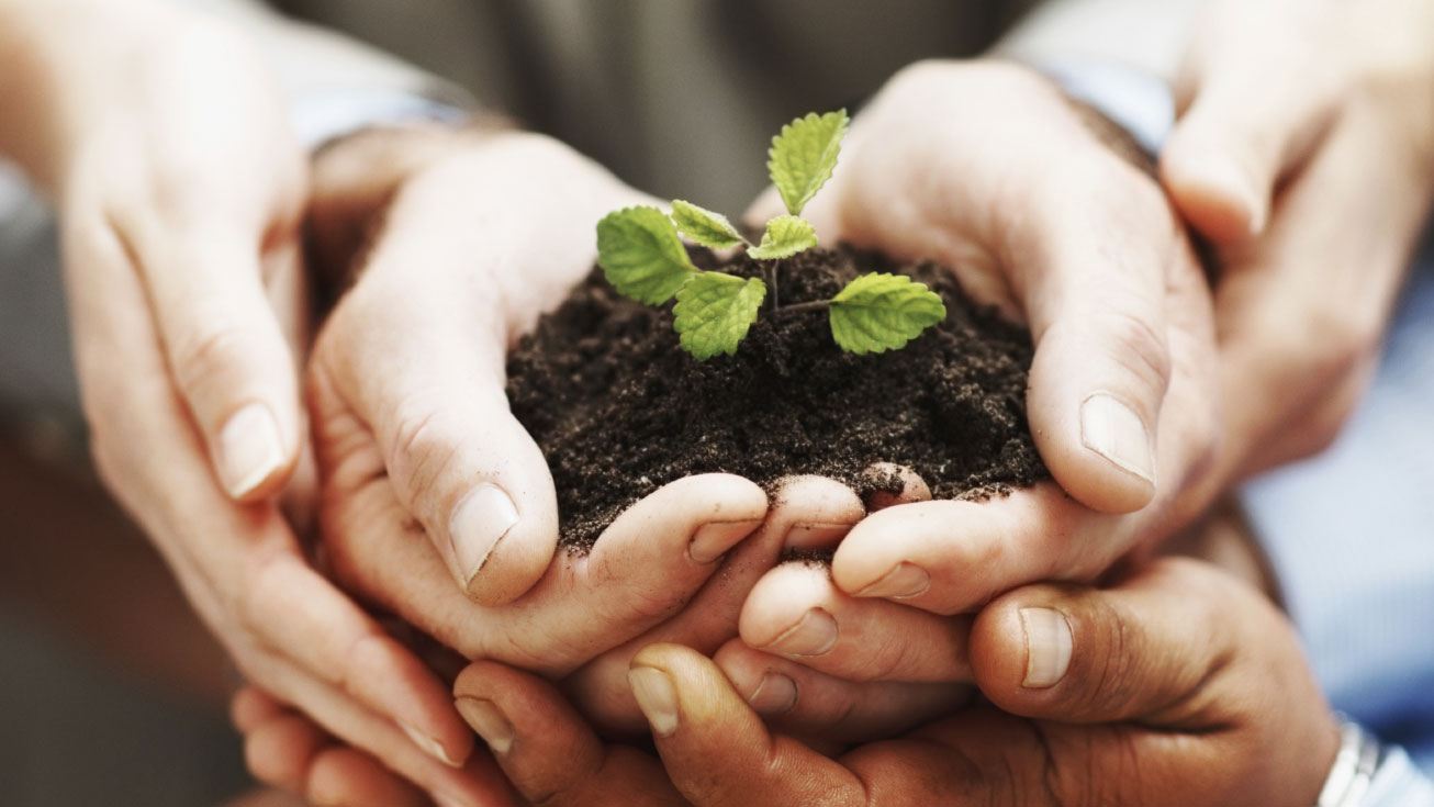 Formation : Culture positive en SST pour l’entreprise